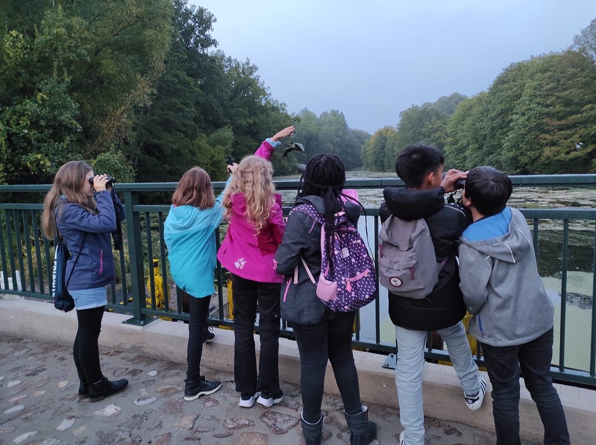 Hansa Gymnasium Bergedorf